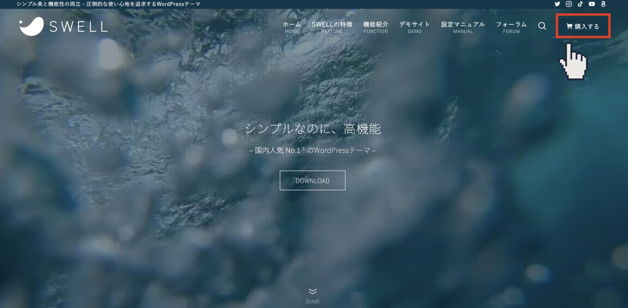 【SWELLレビュー】初心者にこそおすすめしたい理由｜メリット・デメリット徹底解説 | ぼっちクエスト